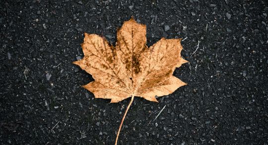 Canada's slippery slope of 'assisted dying' - Christian Concern